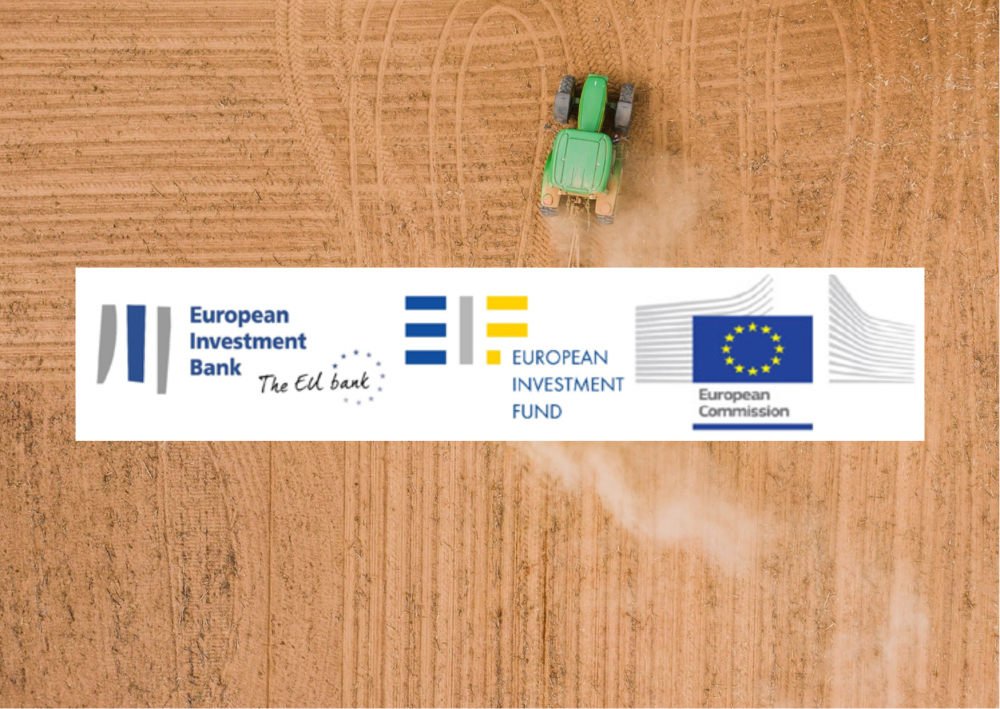 Working capital financing for a grain farm (IV)